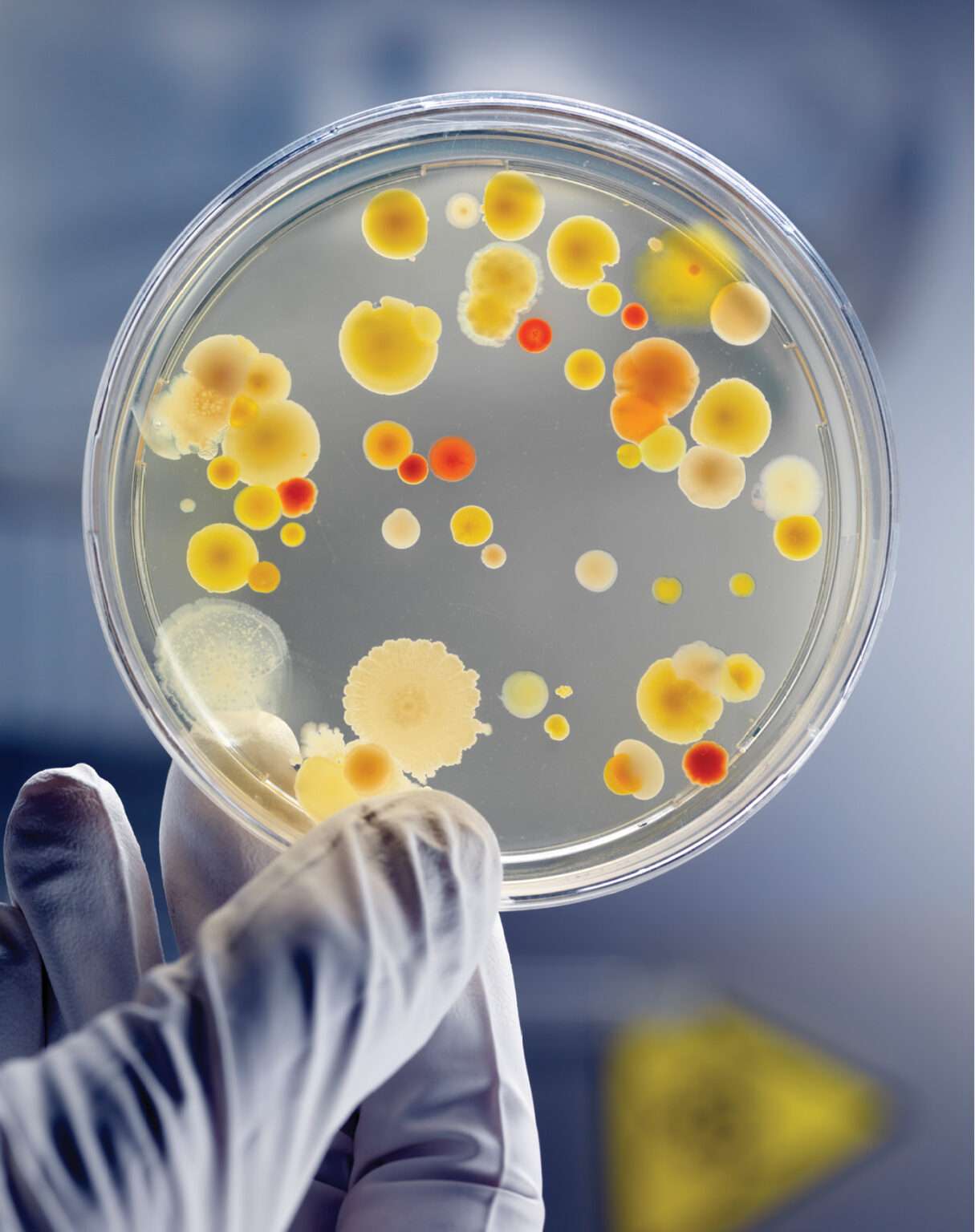 Μικροβιολογικό – micro Medica